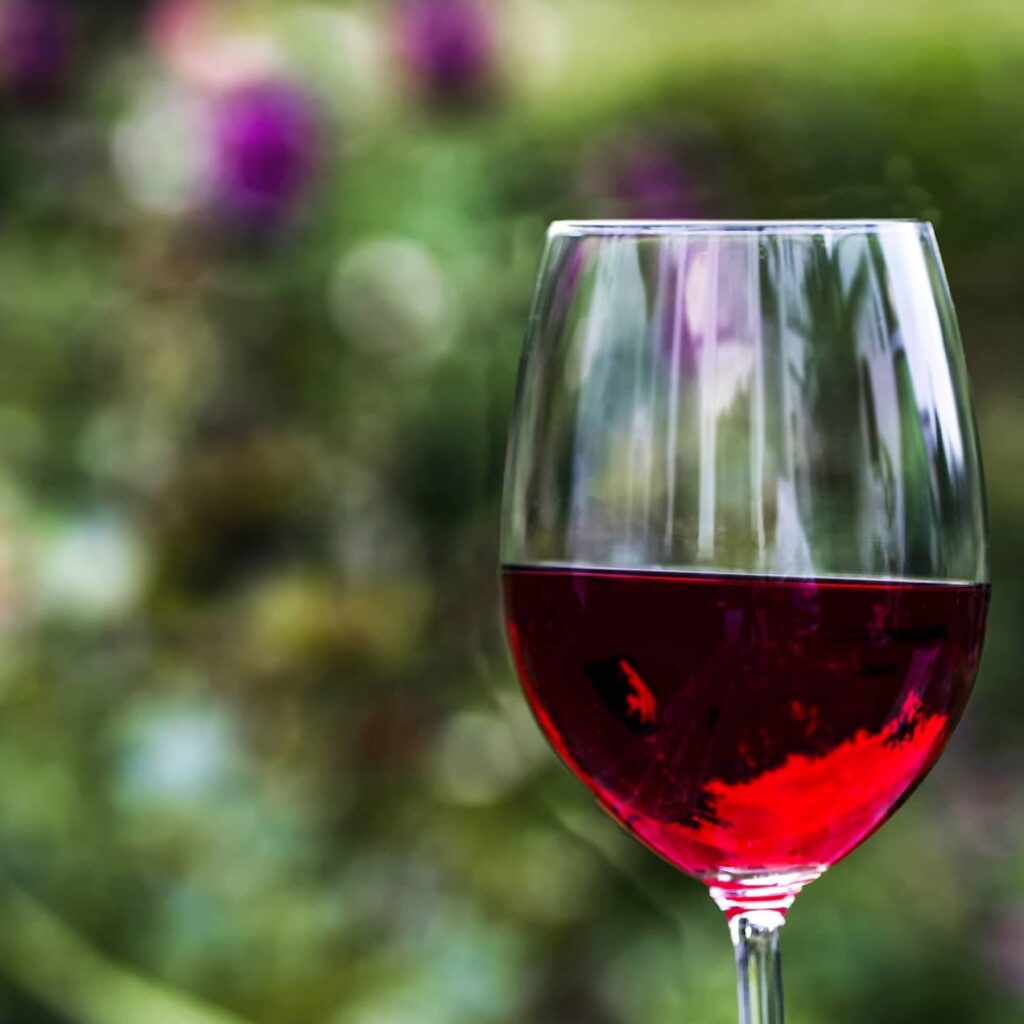 Le Trousseau, Star Des Vins Rouges Du Jura | Vessiere