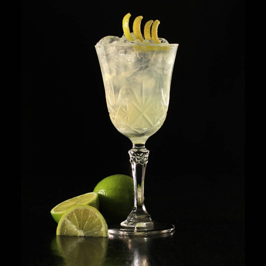 Top 10 Des Cocktails Au Gin | Vessiere Cristaux
